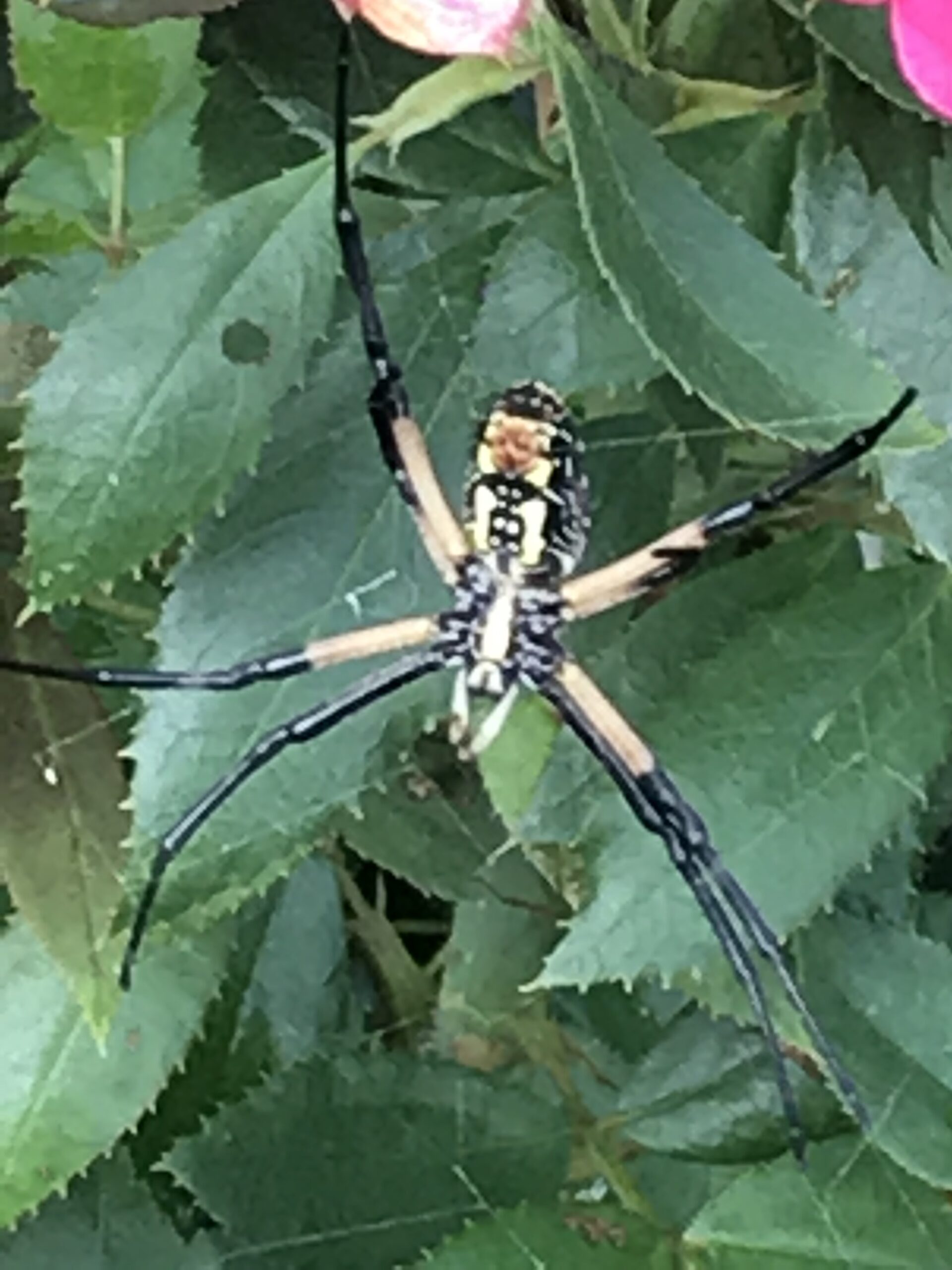 Be Ready for Spring's Buzz - Bites, Stings and Creepy Things